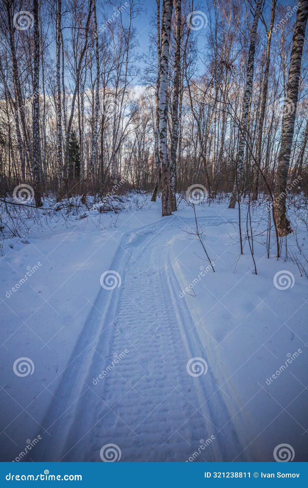 The Trail of a Snowmobile in the Impassable Snows of Winter Nature ...