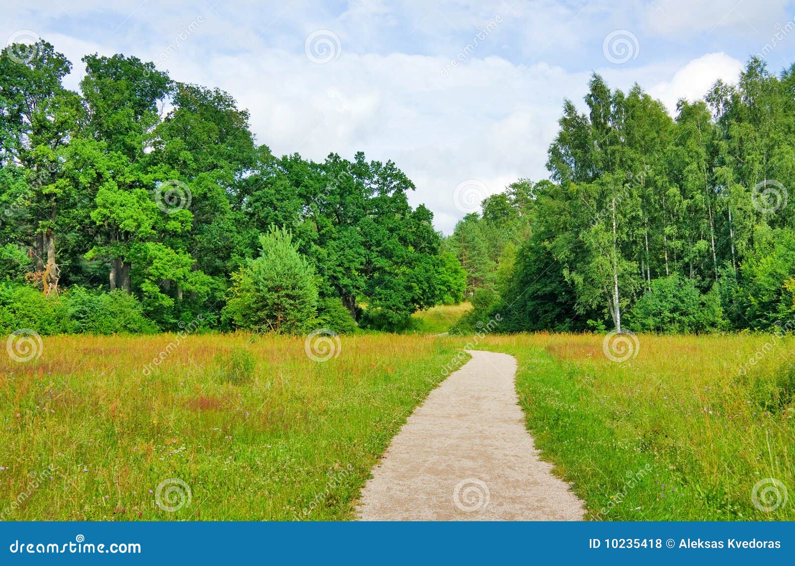 Trail in the Summer the Park Stock Photo - Image of nature, street ...