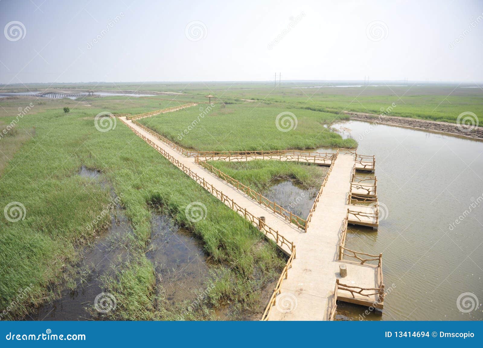 Trail on the swamp field stock photo. Image of bower - 13414694