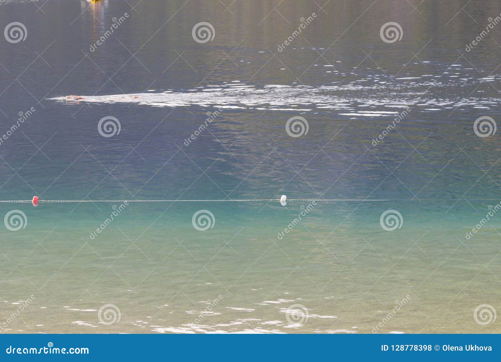 Trail Swimmer on the Sea Surface. Background Stock Photo - Image of ...