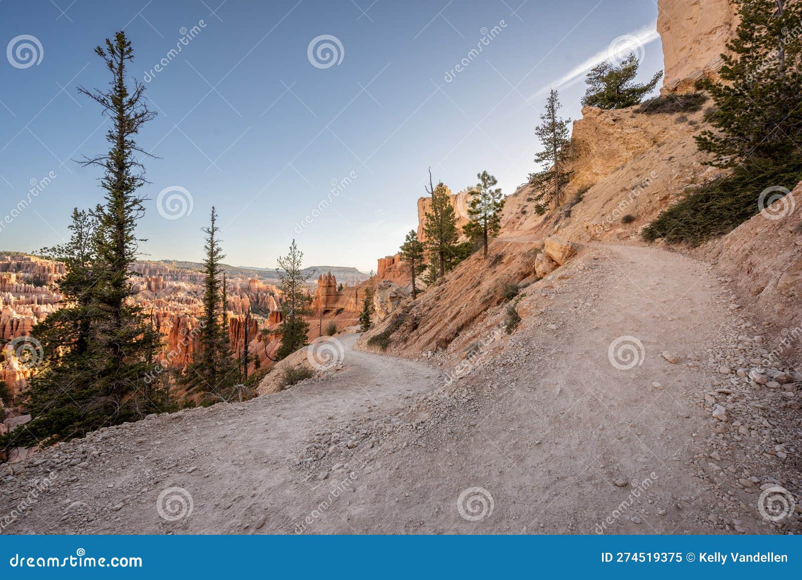 Trail To Bryce Point Winds Up Switchbacks Stock Image - Image of ...