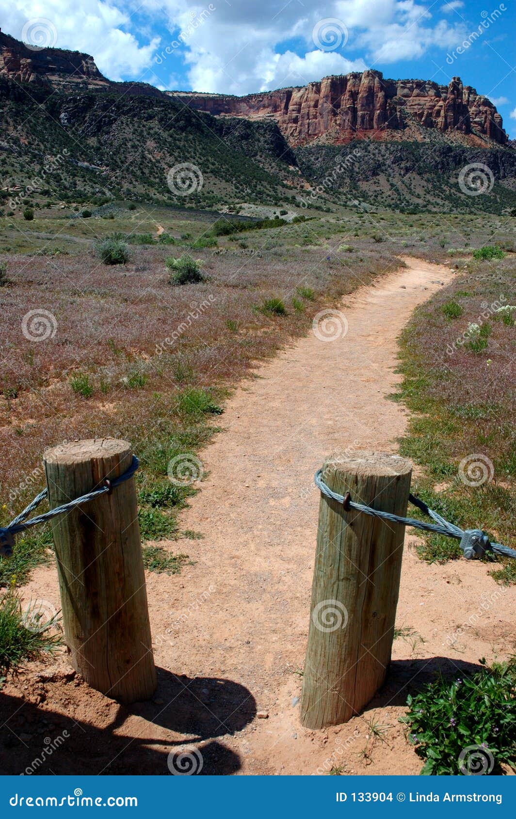 Trail to Liberty Cap stock photo. Image of desert, destination - 133904