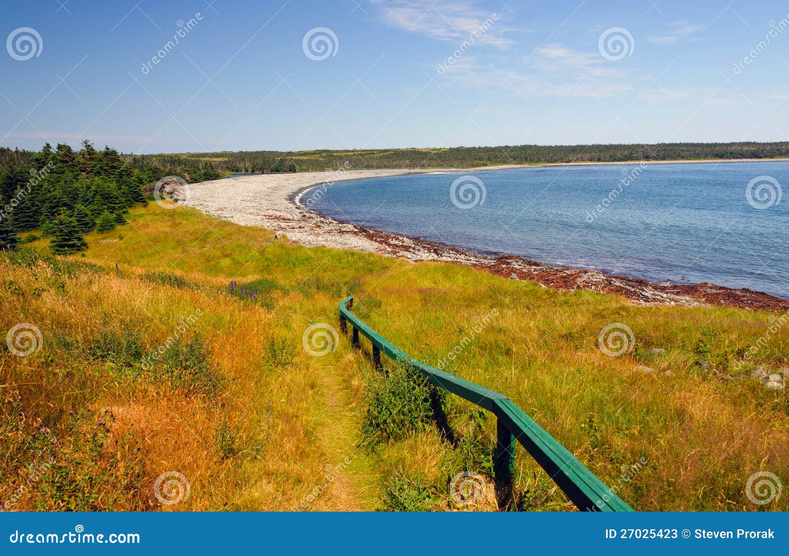 Trail To a Remote Ocean Cove Stock Image - Image of cove, coast: 27025423