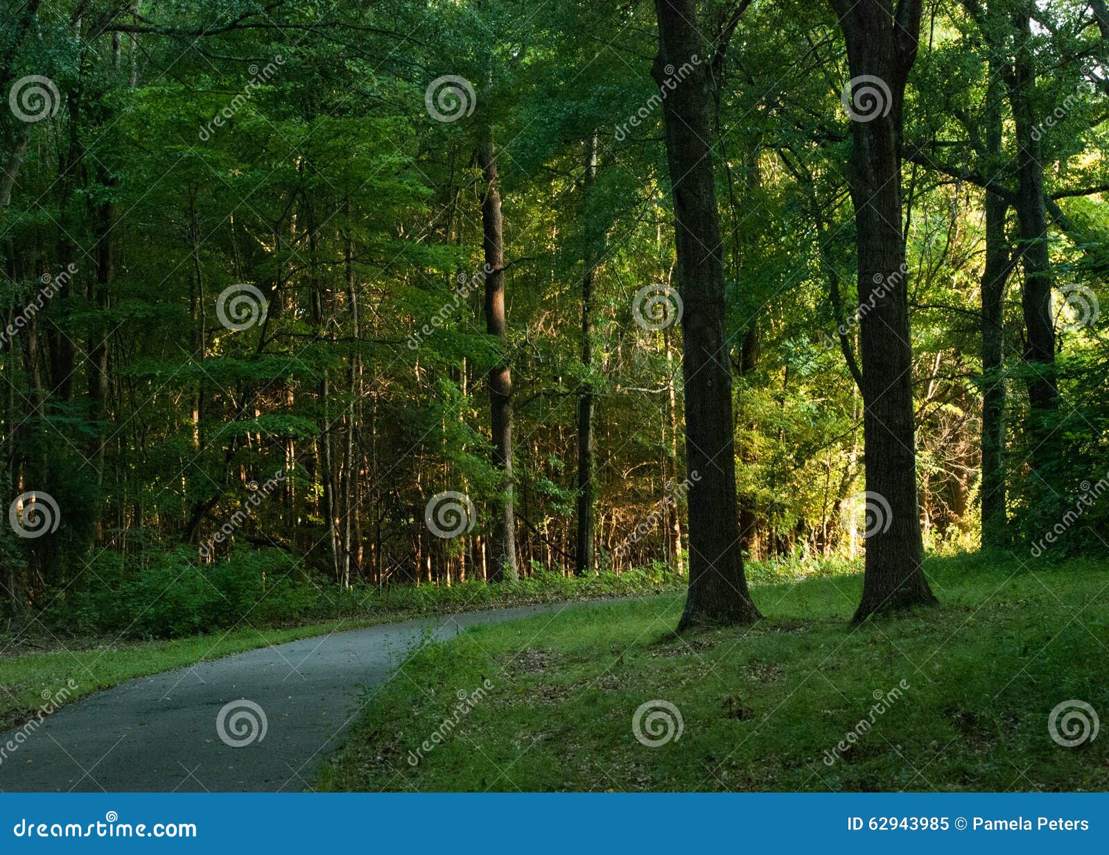 Trail to the Sun stock image. Image of landscape, tennessee - 62943985