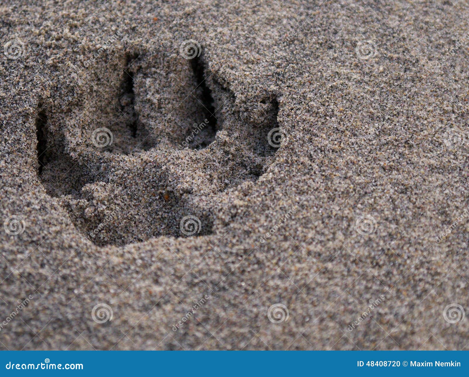 Trace Dogs Stock Photos - Download 166 Royalty Free Photos