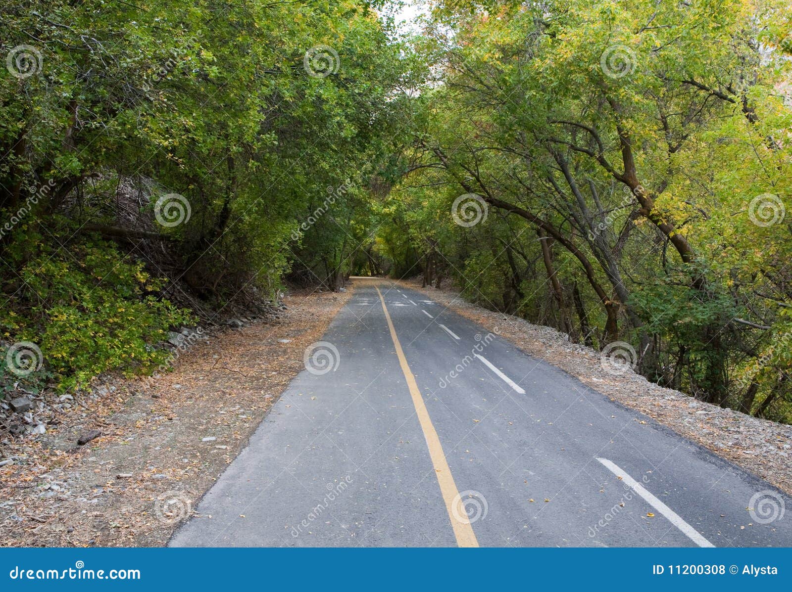 Trail through Trees in Provo Canyon Stock Photo - Image of jogging ...