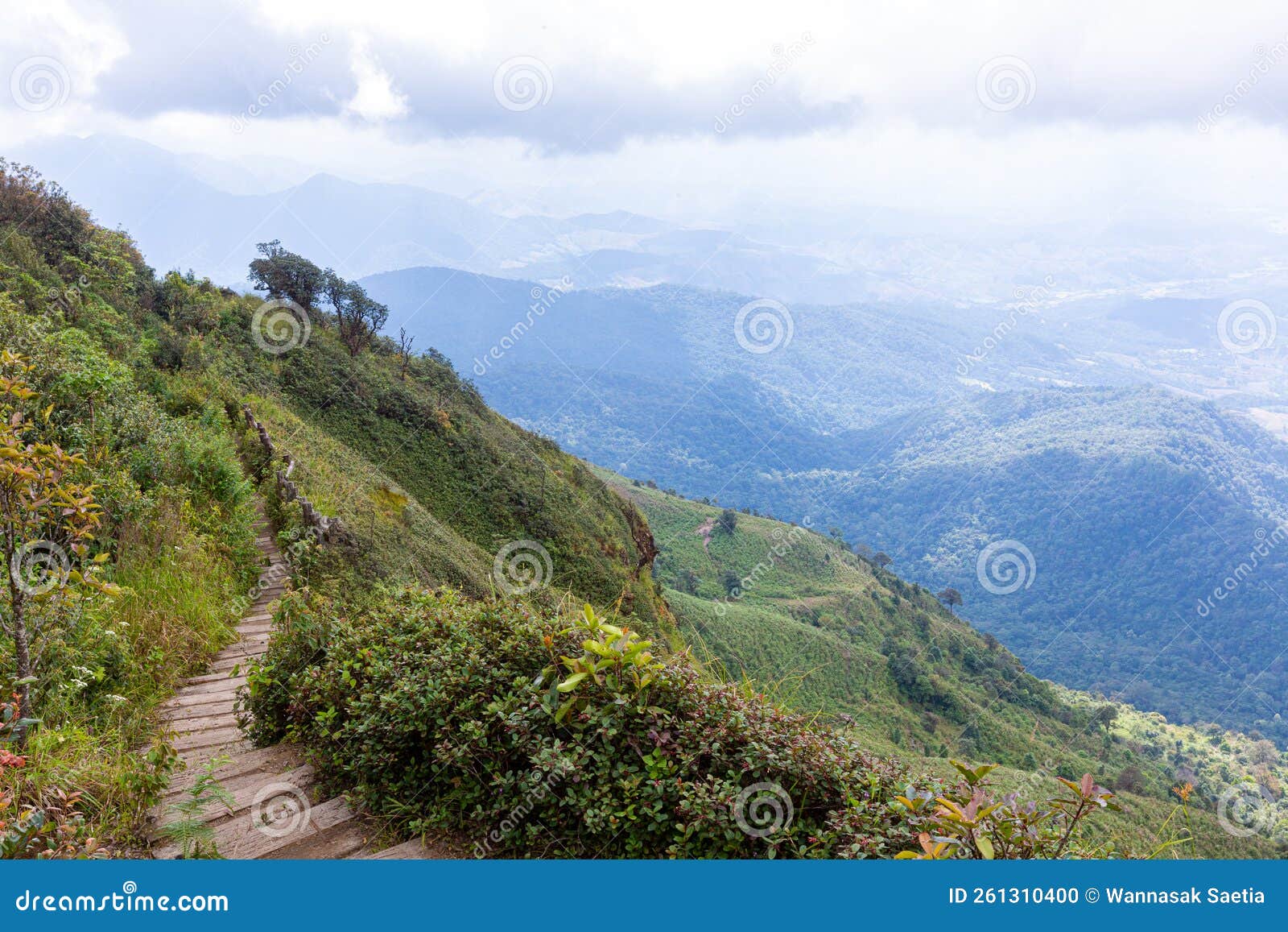 Trail Up the Mountain Covered with Fog Stock Photo - Image of hike ...