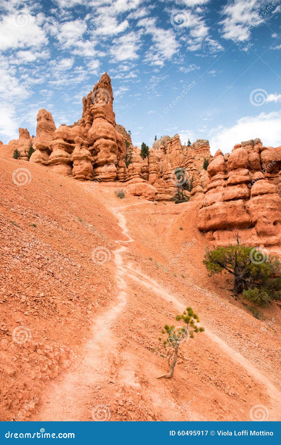 Trail View from Red Rock Canyon, Nevada / Red Rock Stock Image - Image ...
