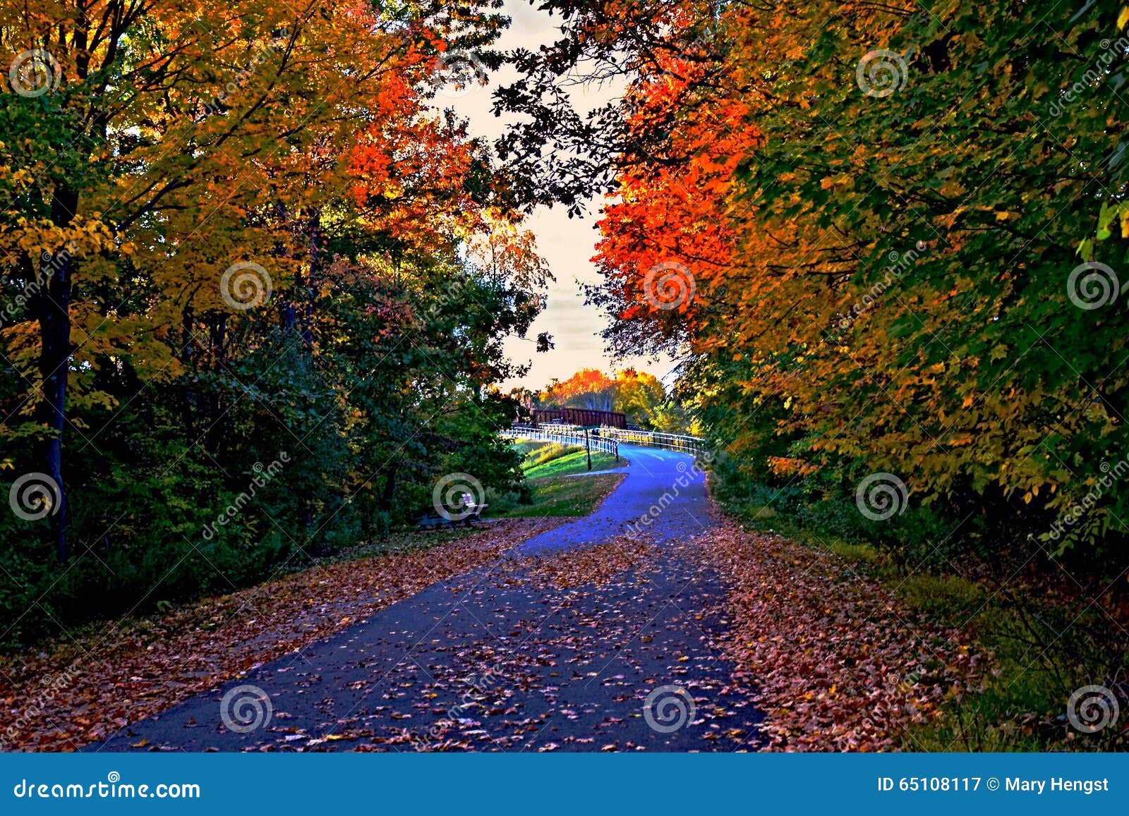Trail stock image. Image of trees, walkway, fall, colorful - 65108117