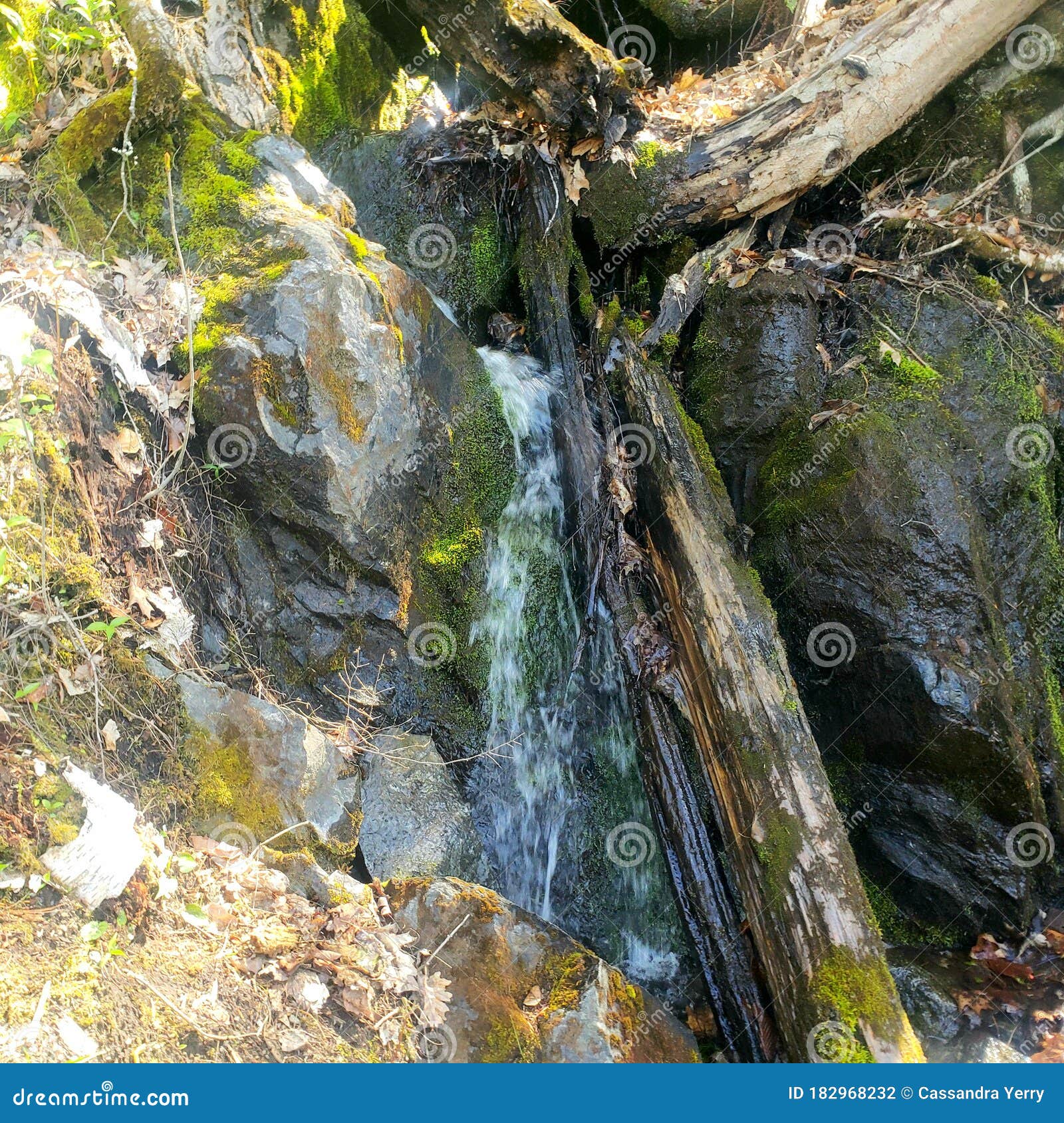 Trail water fall stock photo. Image of fall, waterfall - 182968232