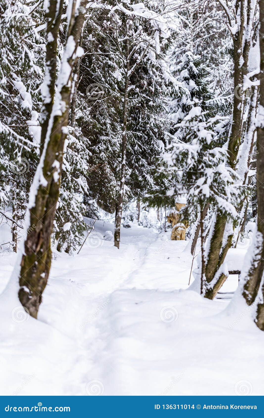 Trail Way in the Snow Covered Russian Forest Stock Photo - Image of ...