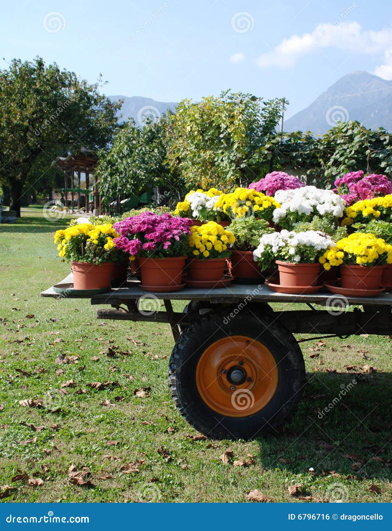 Trailer with Flower Pots stock photo. Image of yellow - 6796716