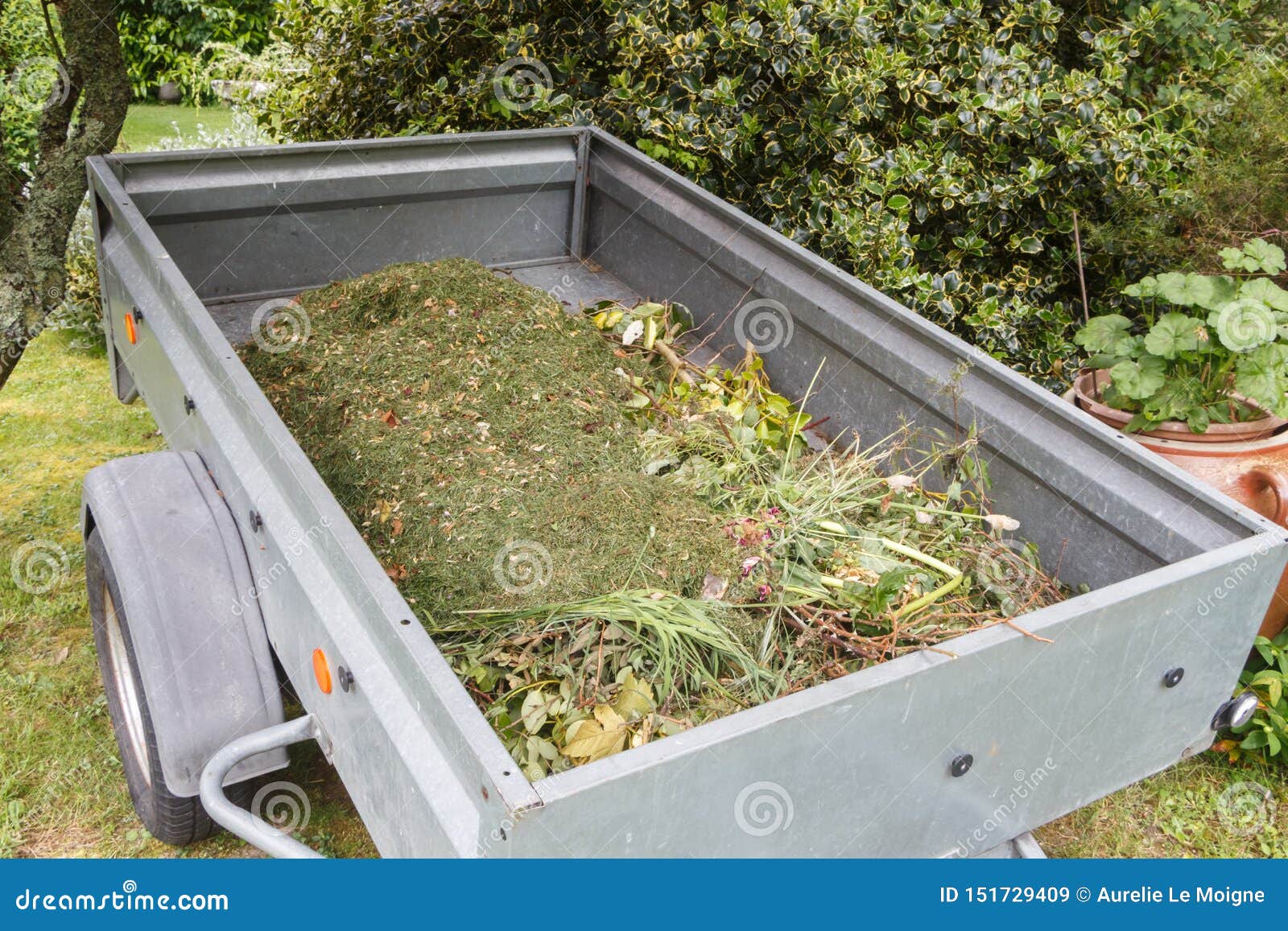Trailer Full of Garden Waste Stock Image - Image of outdoors, gardening ...