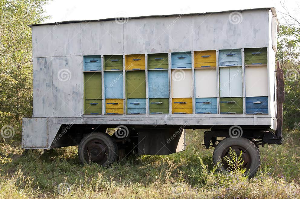 Trailer hive stock photo. Image of summer, outdoors, swarm - 43035914