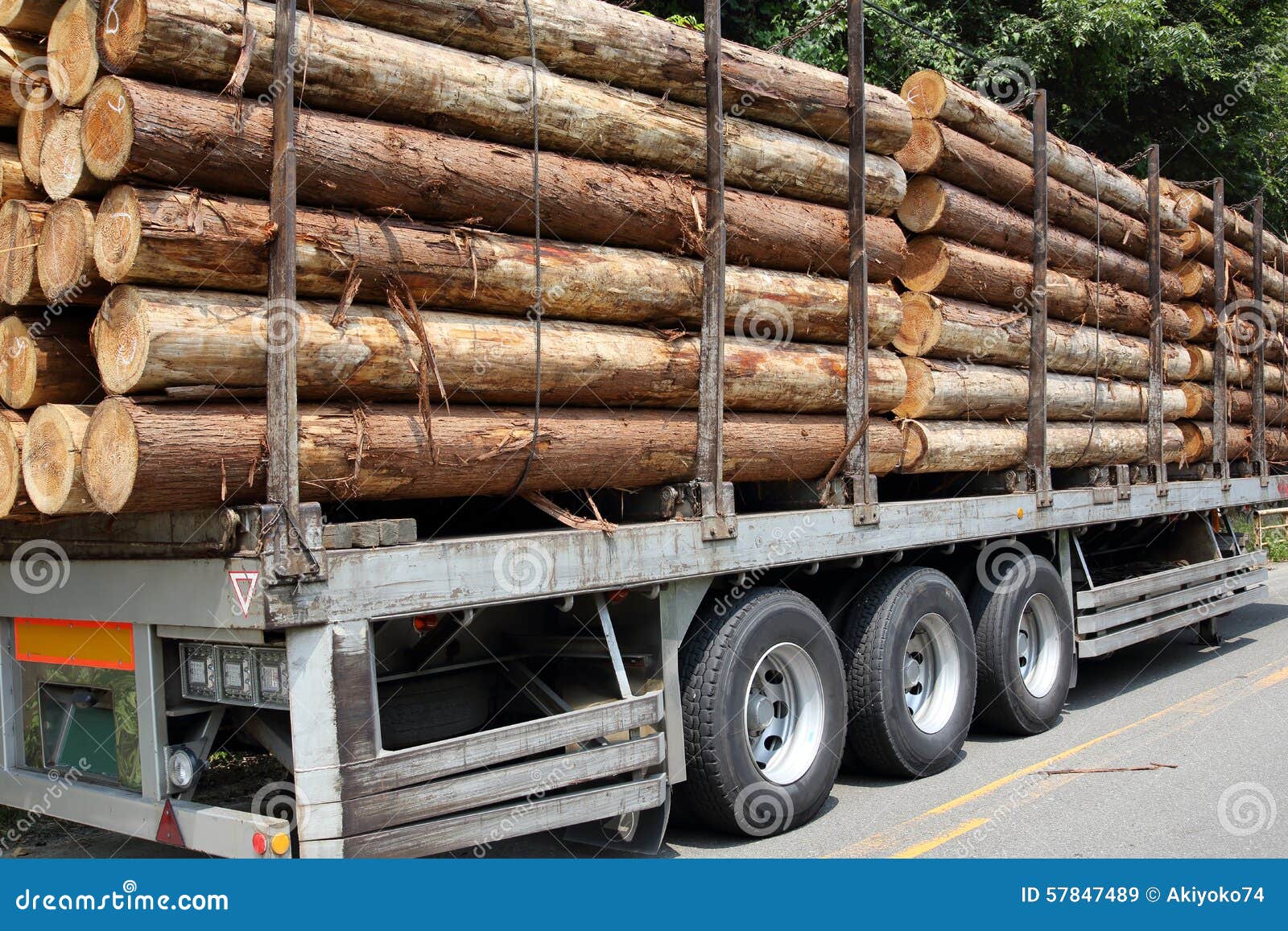 Trailer and stack of logs stock image. Image of ring - 57847489