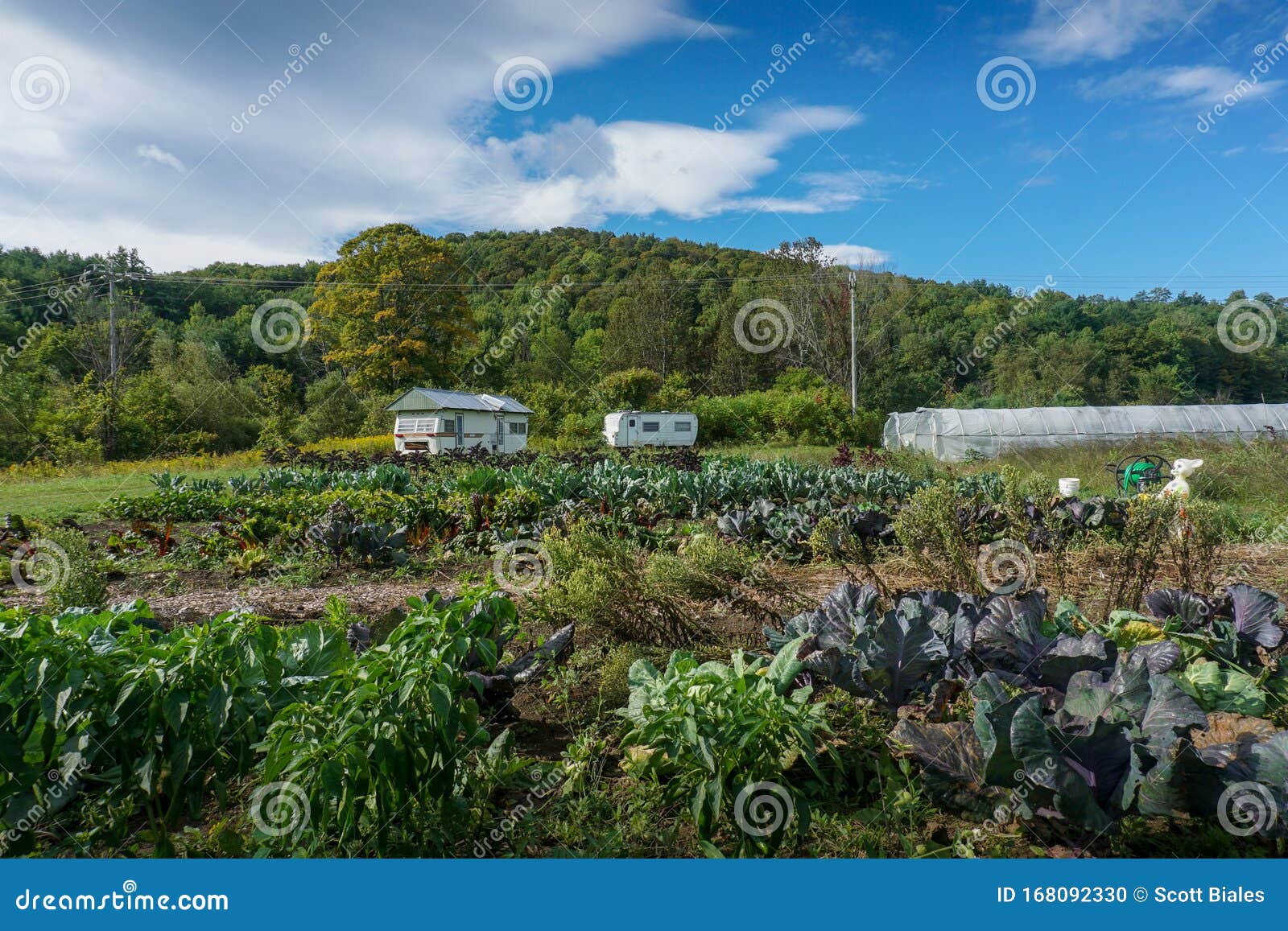 Trailers Parked on Vegetable Stock Photo - Image of mobile, caravan ...