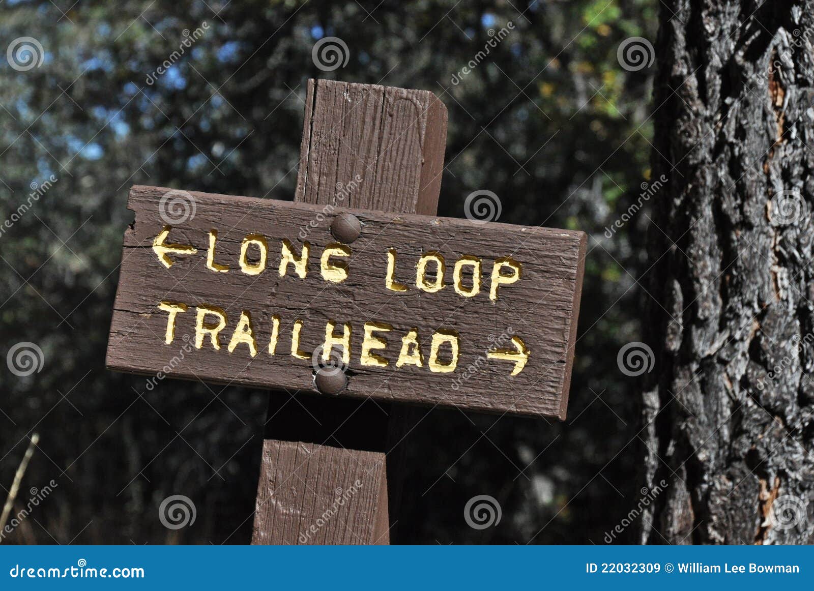 Trailhead Loop stock image. Image of sign, loop, direction - 22032309