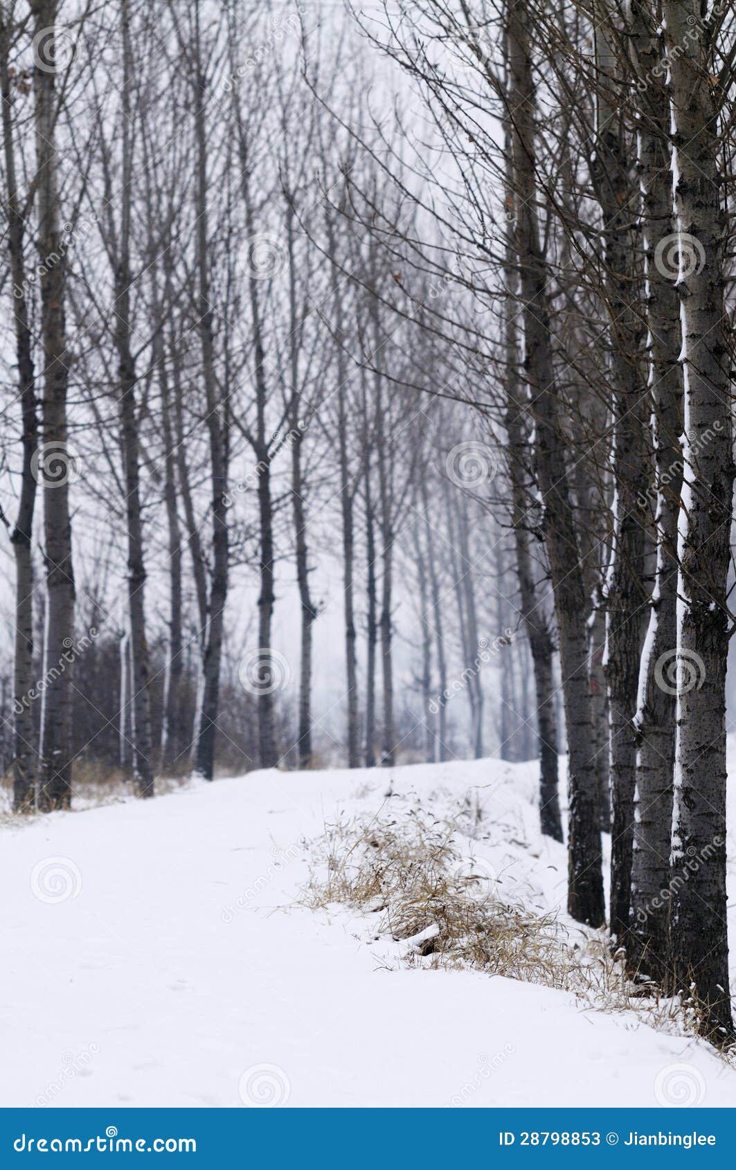 Trails stock image. Image of roads, texture, winter, trails - 28798853