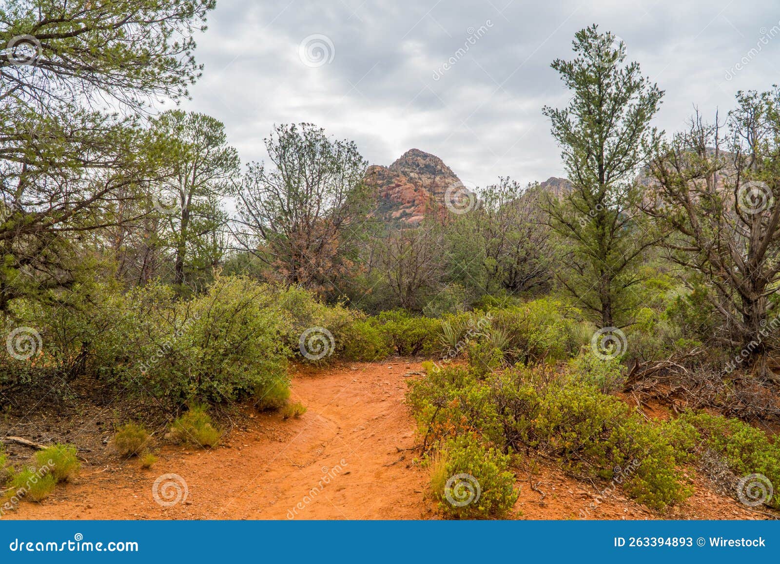 Trails and Amazing Landscapes Stock Image - Image of travel, skyline ...