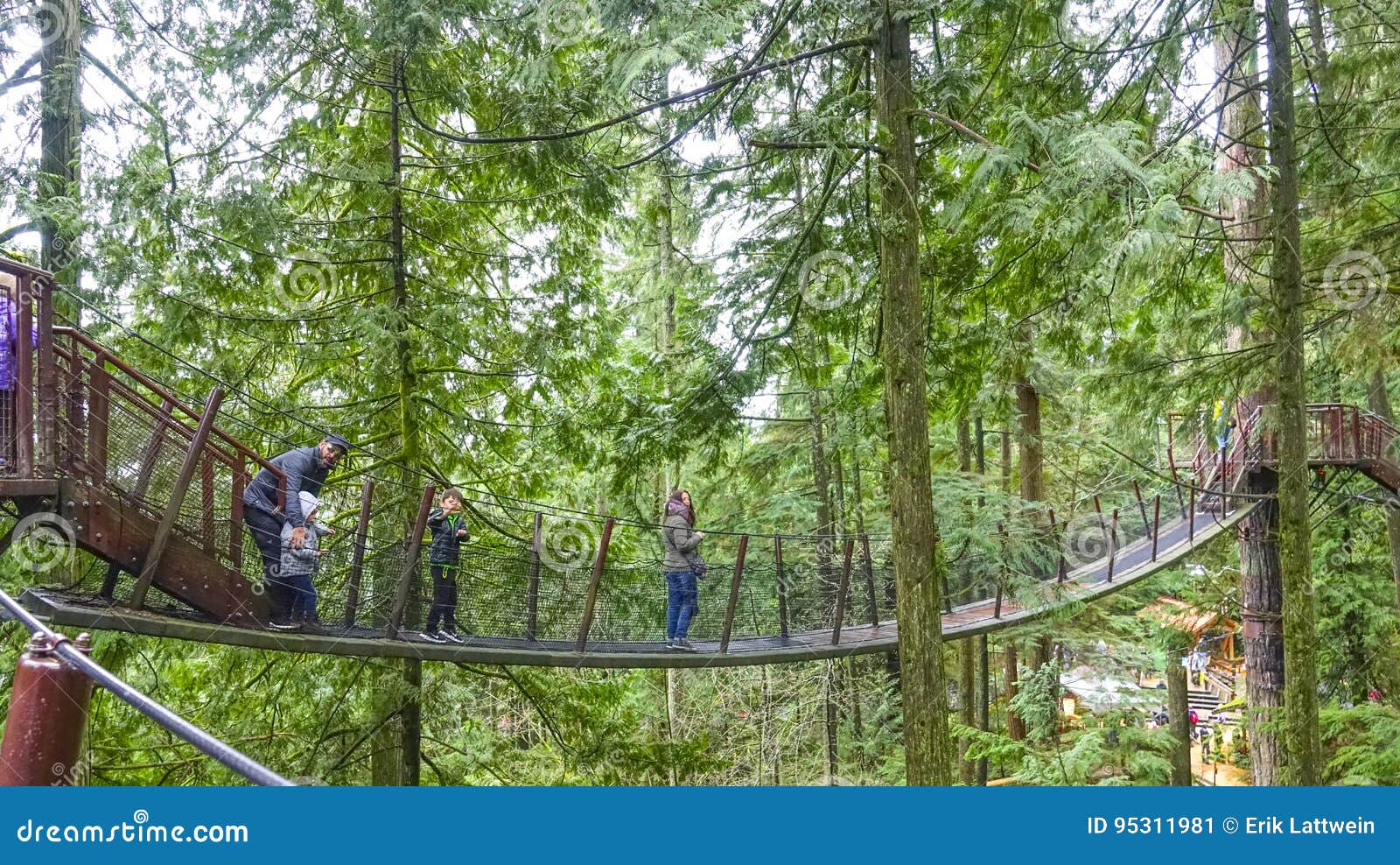 Trails in the Capilano Park for Exploring the Nature - CAPILANO ...