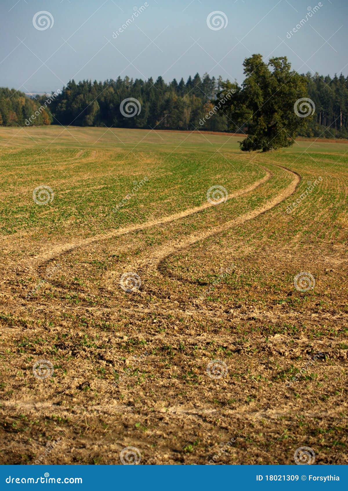 Trails in a field stock image. Image of forest, nature - 18021309