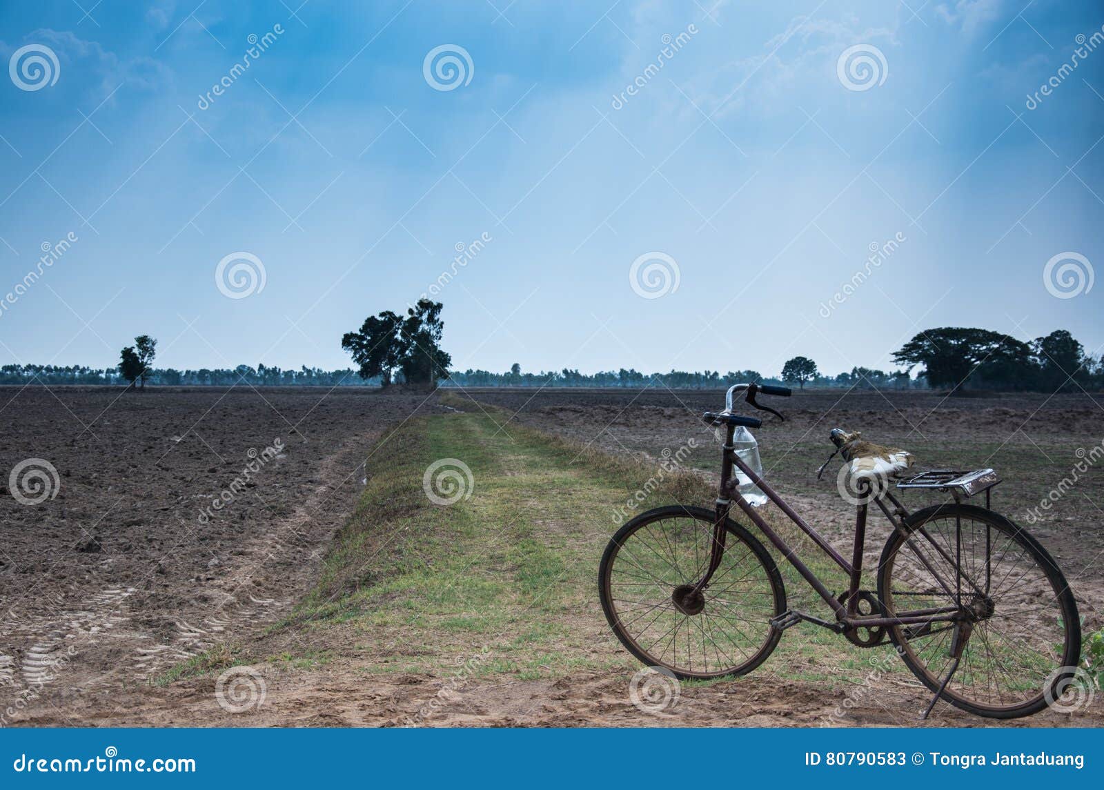 Trails, Fields, Sky, Clouds, Rays, Sunlight and Water Park in T Stock ...