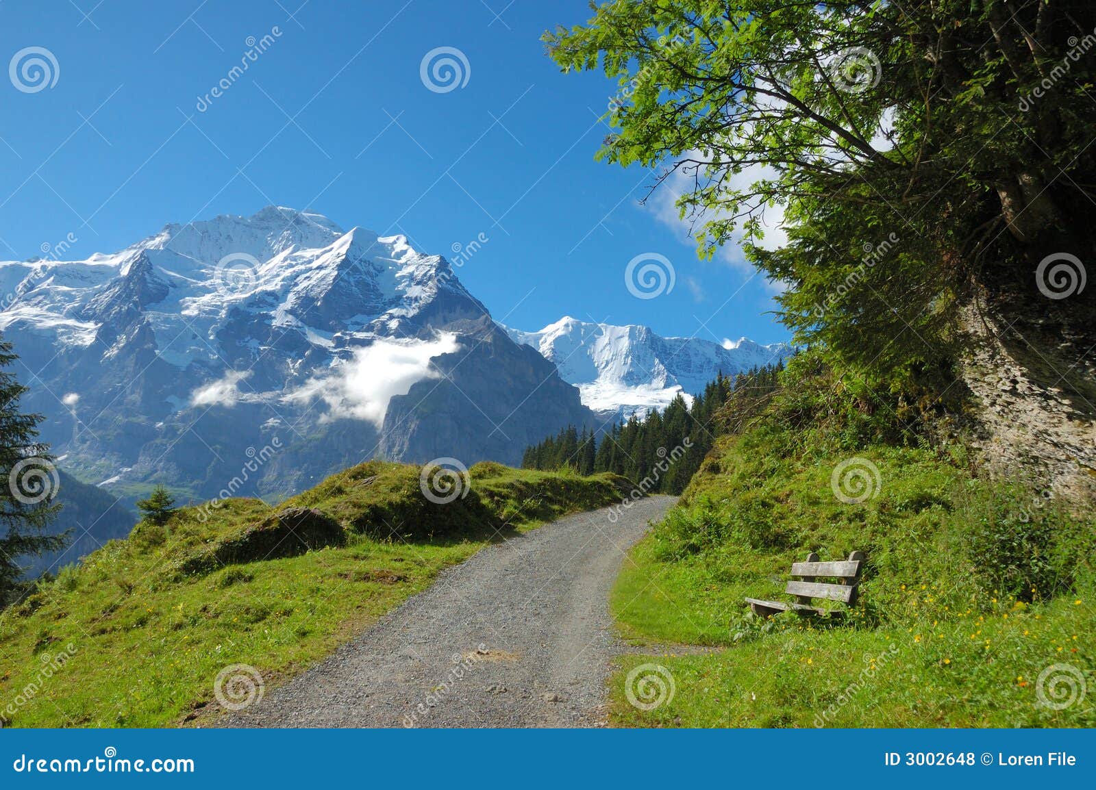 Trailside Bench stock photo. Image of alpine, flowers - 3002648