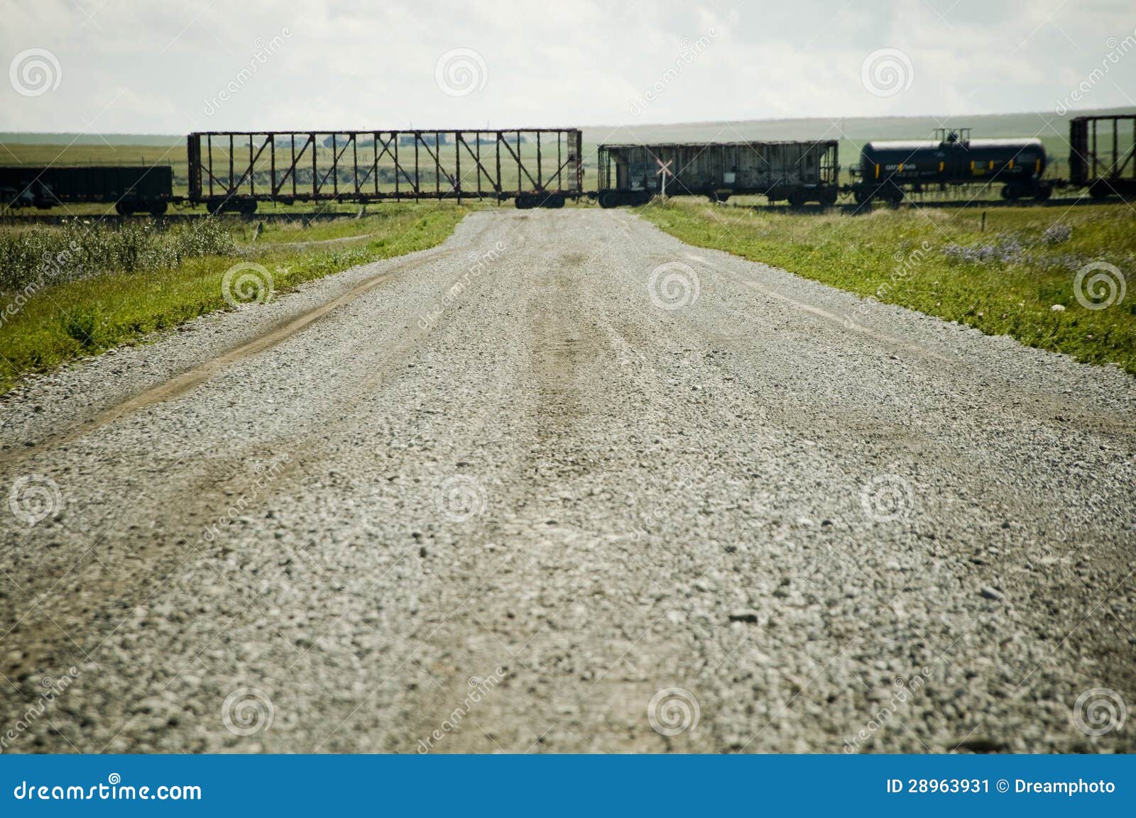 Train across the prairies stock image. Image of green - 28963931