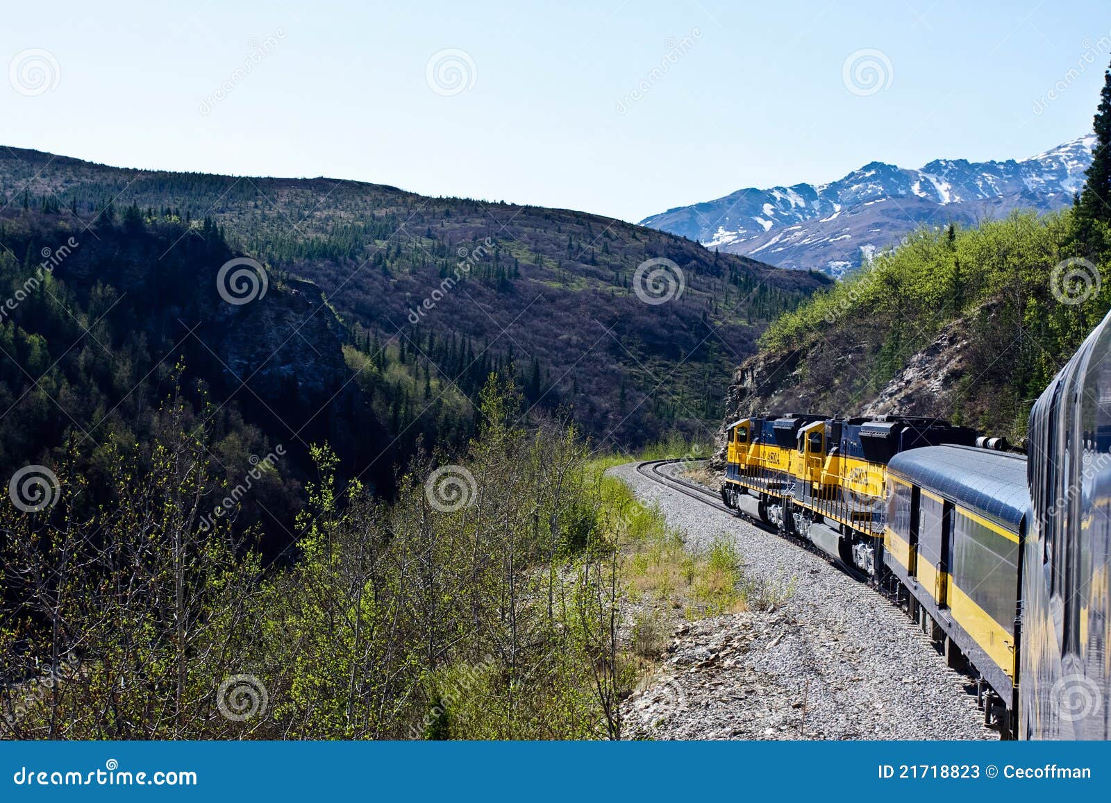 Train through Alaska stock image. Image of tourism, arctic - 21718823