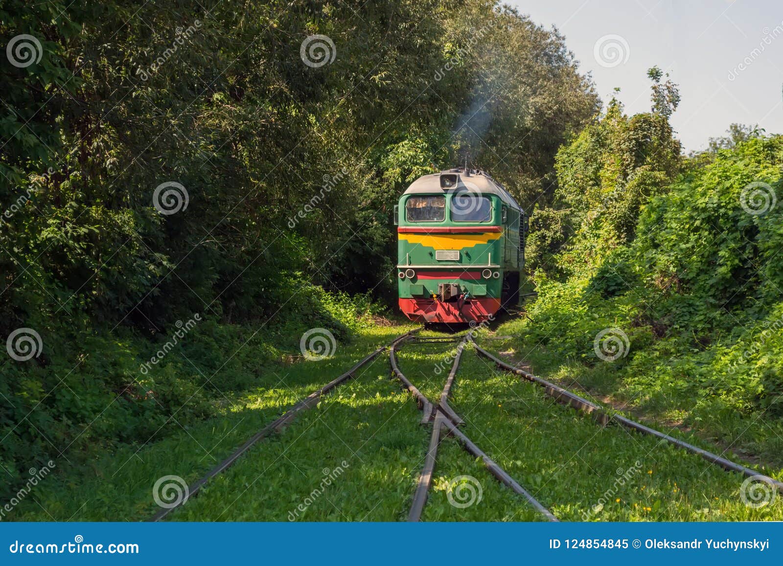 The Train Approaches the Railway Fork in the Forest Stock Image - Image ...