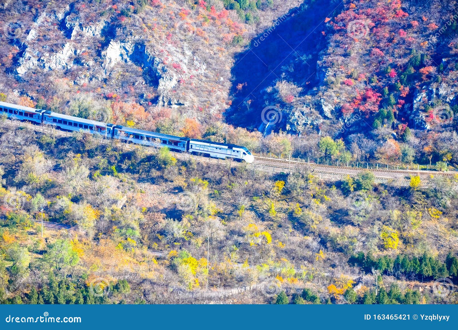 A train in autumn forest stock image. Image of railway - 163465421