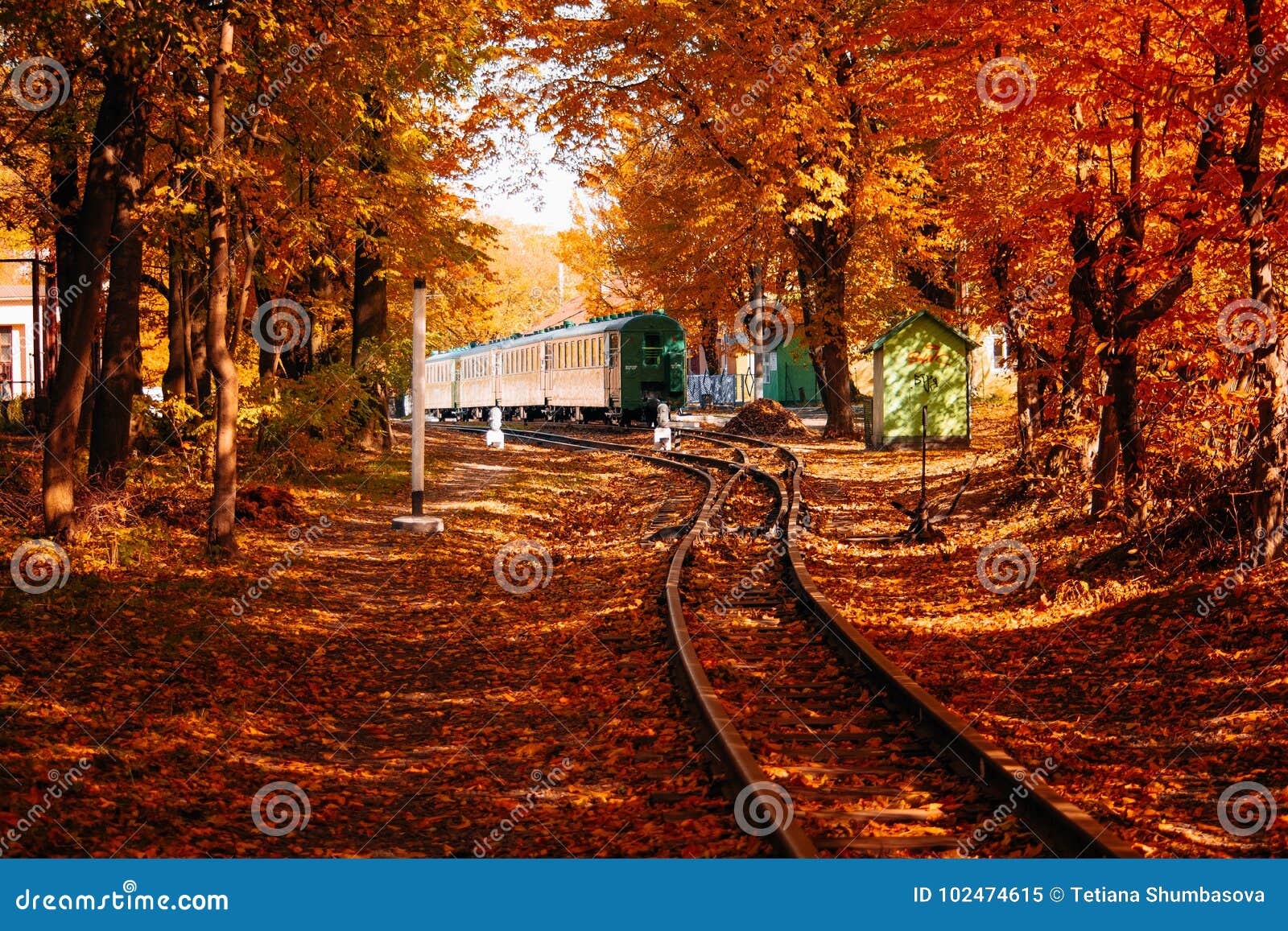 Train on autumn forest stock image. Image of background - 102474615