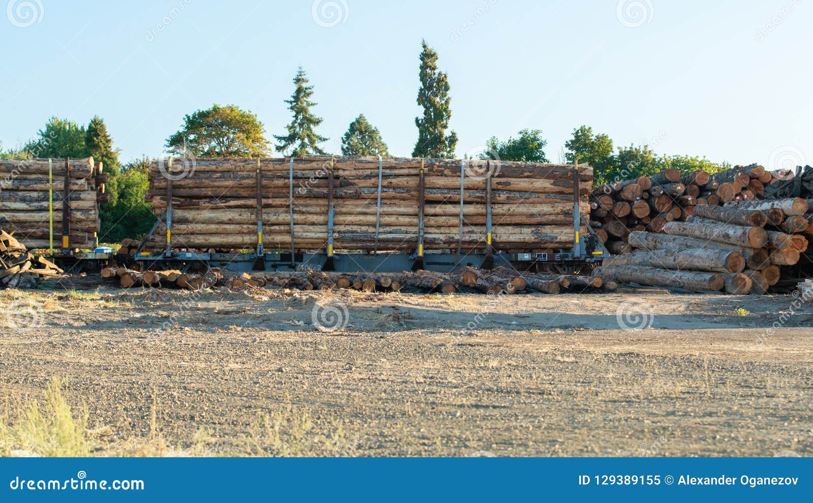 Train Carts Filled with Lumber Tree Logs Stock Image - Image of pile ...