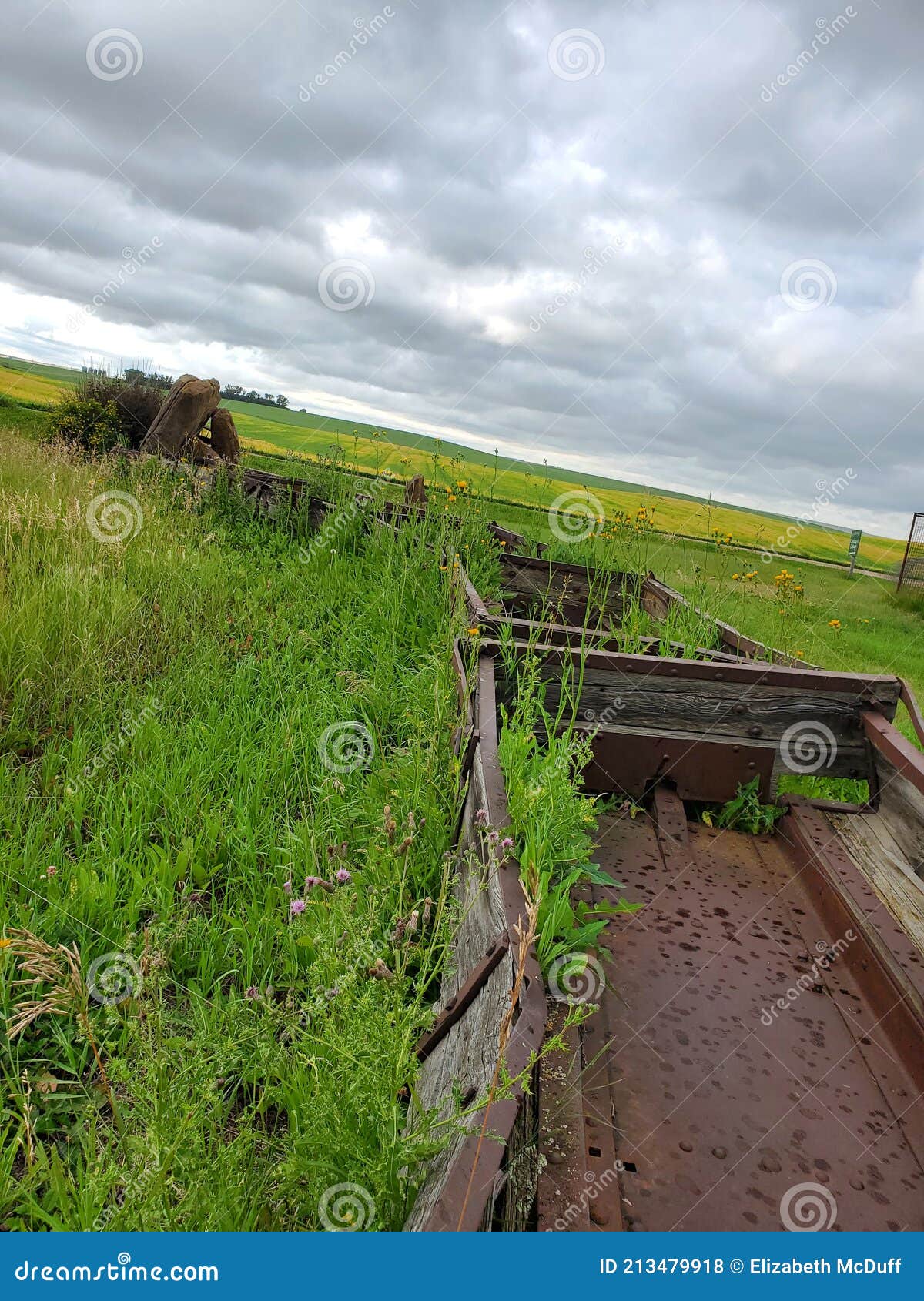 Train Carts Overgrown with Grass Stock Photo - Image of railway ...