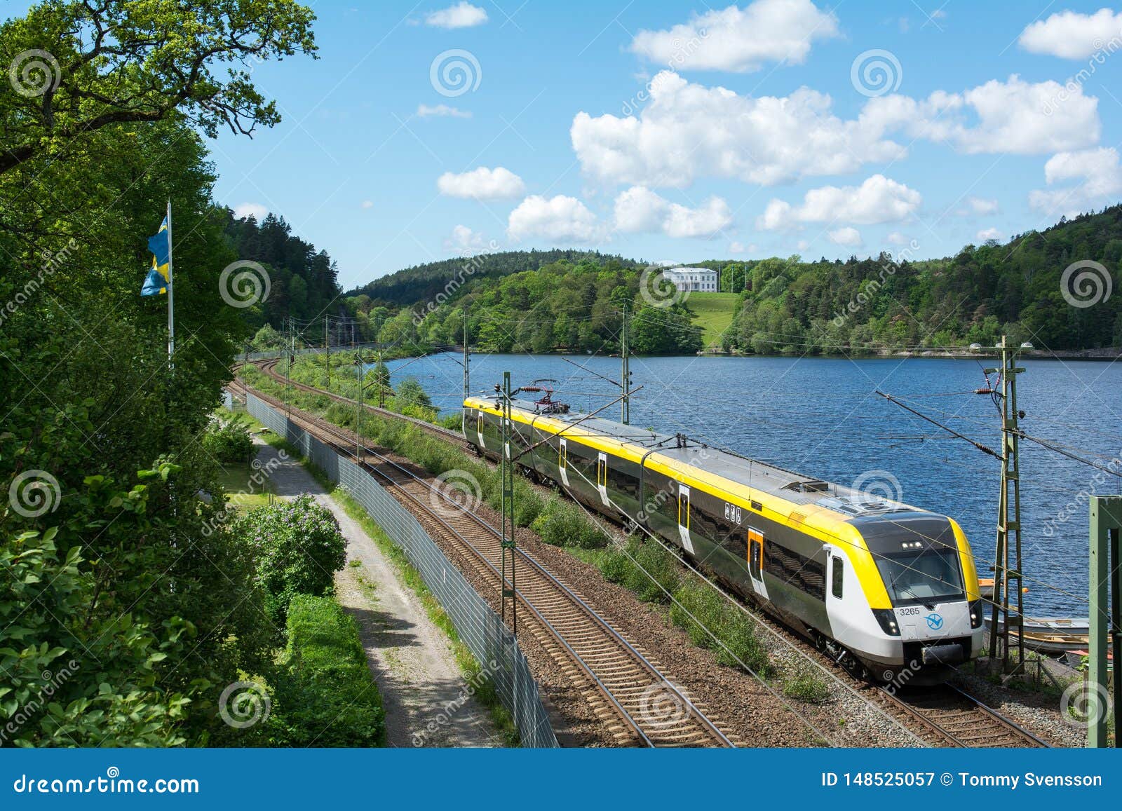Train in a closeup, Sweden editorial photography. Image of kingfisher ...