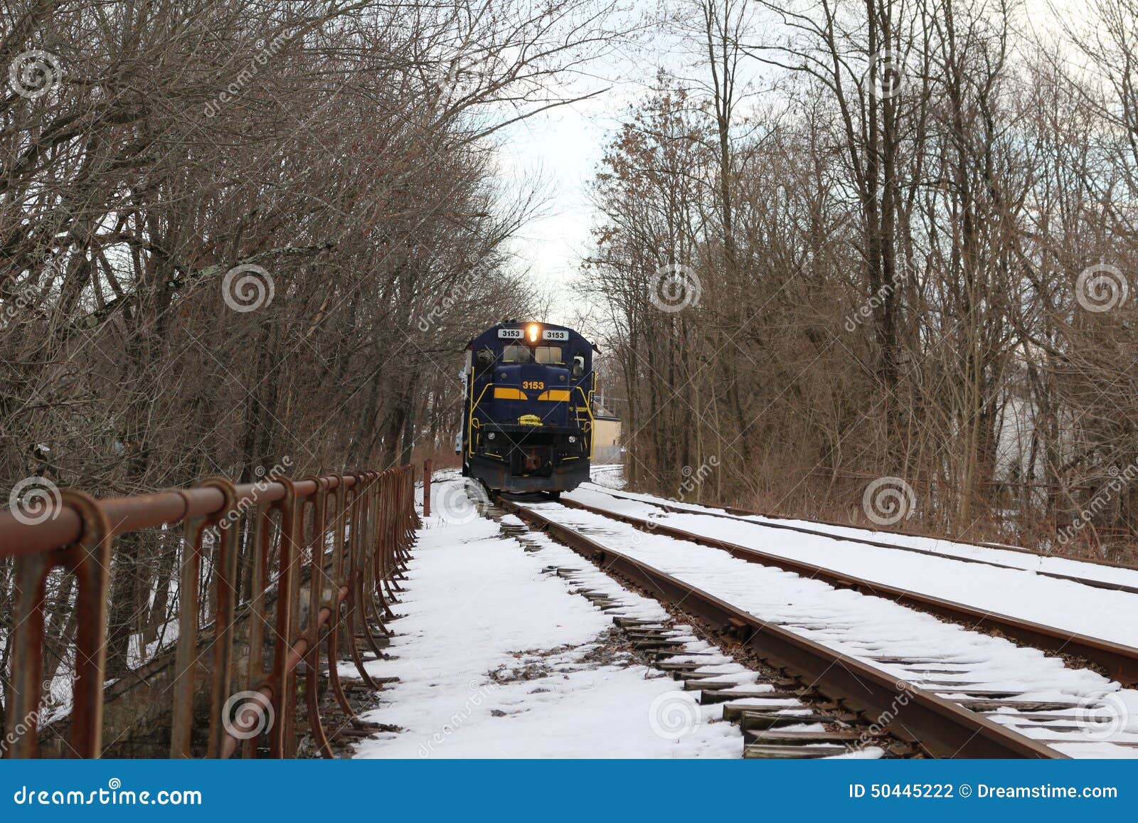 Train stock photo. Image of winter, rails, tracks, cold - 50445222