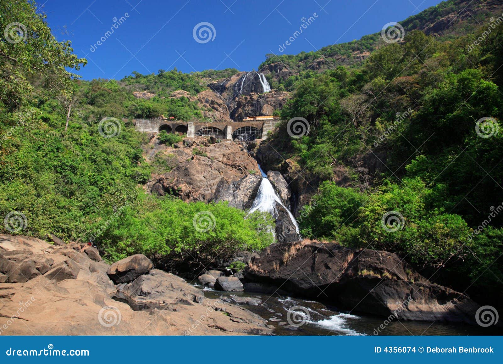Train Crossing Dudhsagar Falls Stock Photo - Image of green, falls: 4356074