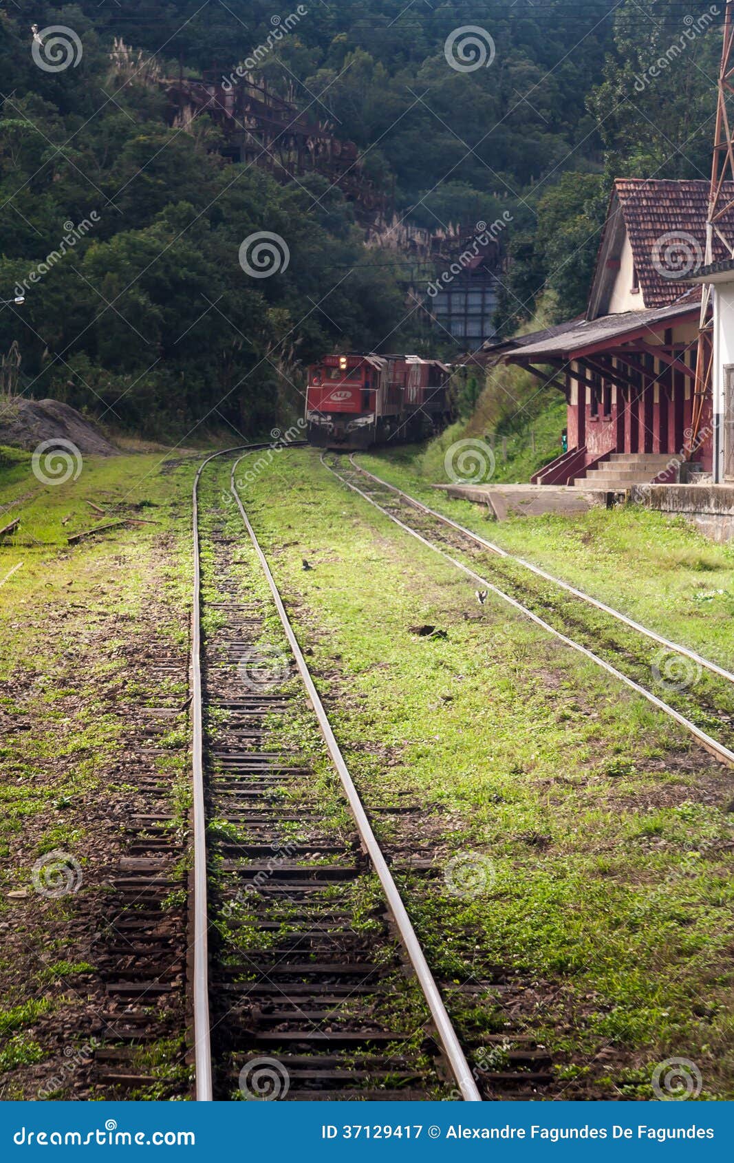Train in Curitiba Parana Brazil Editorial Photography - Image of brazil ...