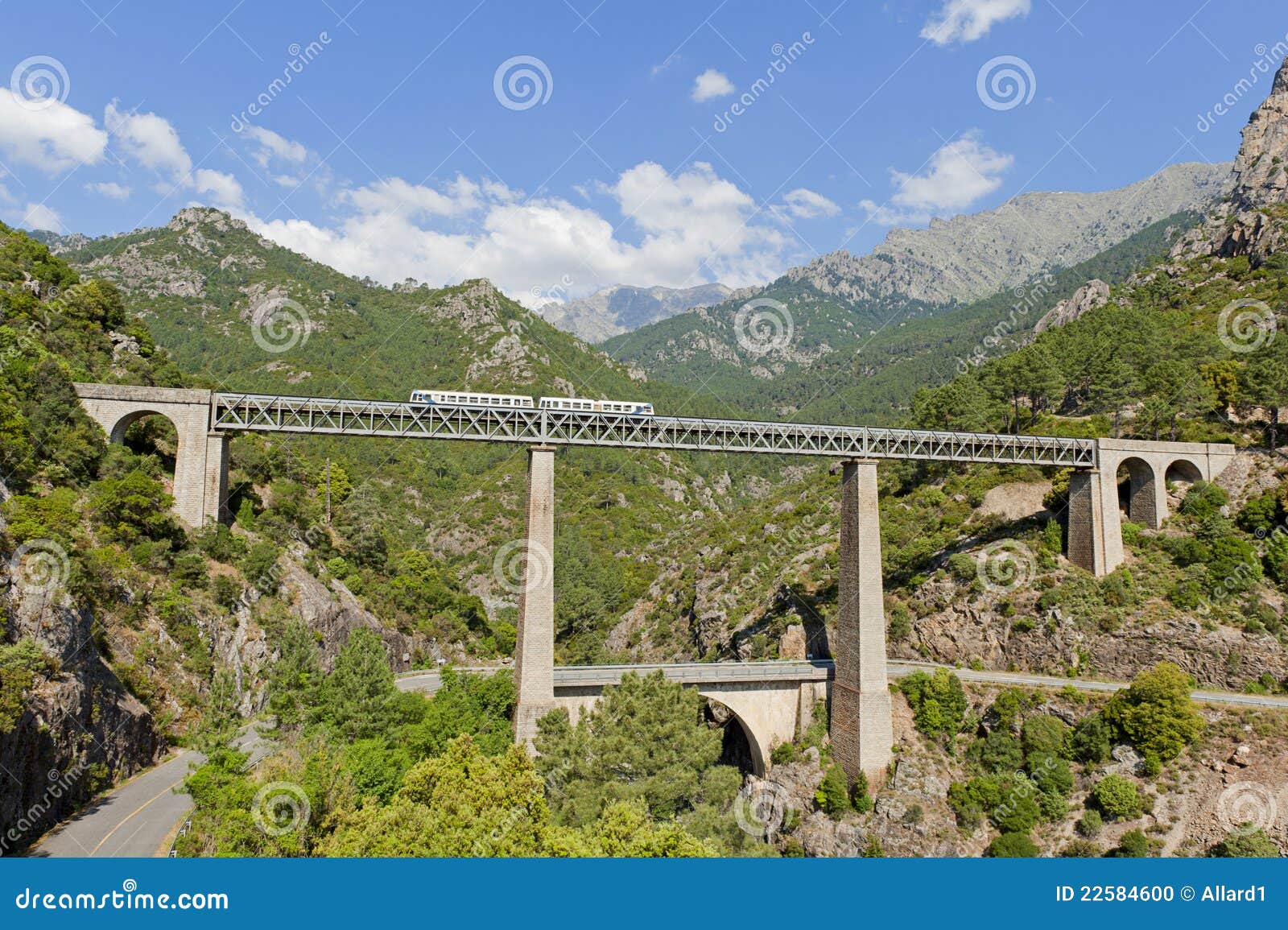 Train Driving on Large Bridge and Viaduct Stock Photo - Image of ...