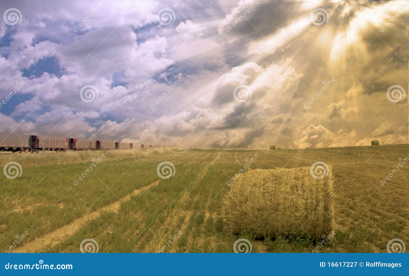 Train and field with hay stock image. Image of outdoor - 16617227