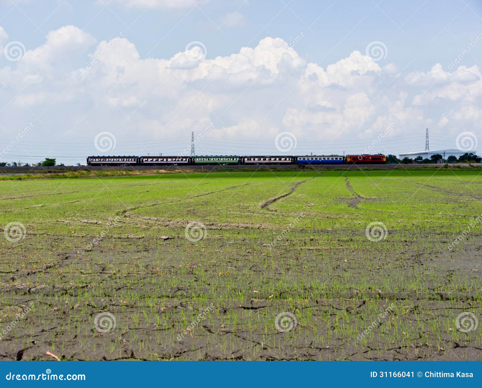 Train and field stock image. Image of leaf, scene, tropical - 31166041