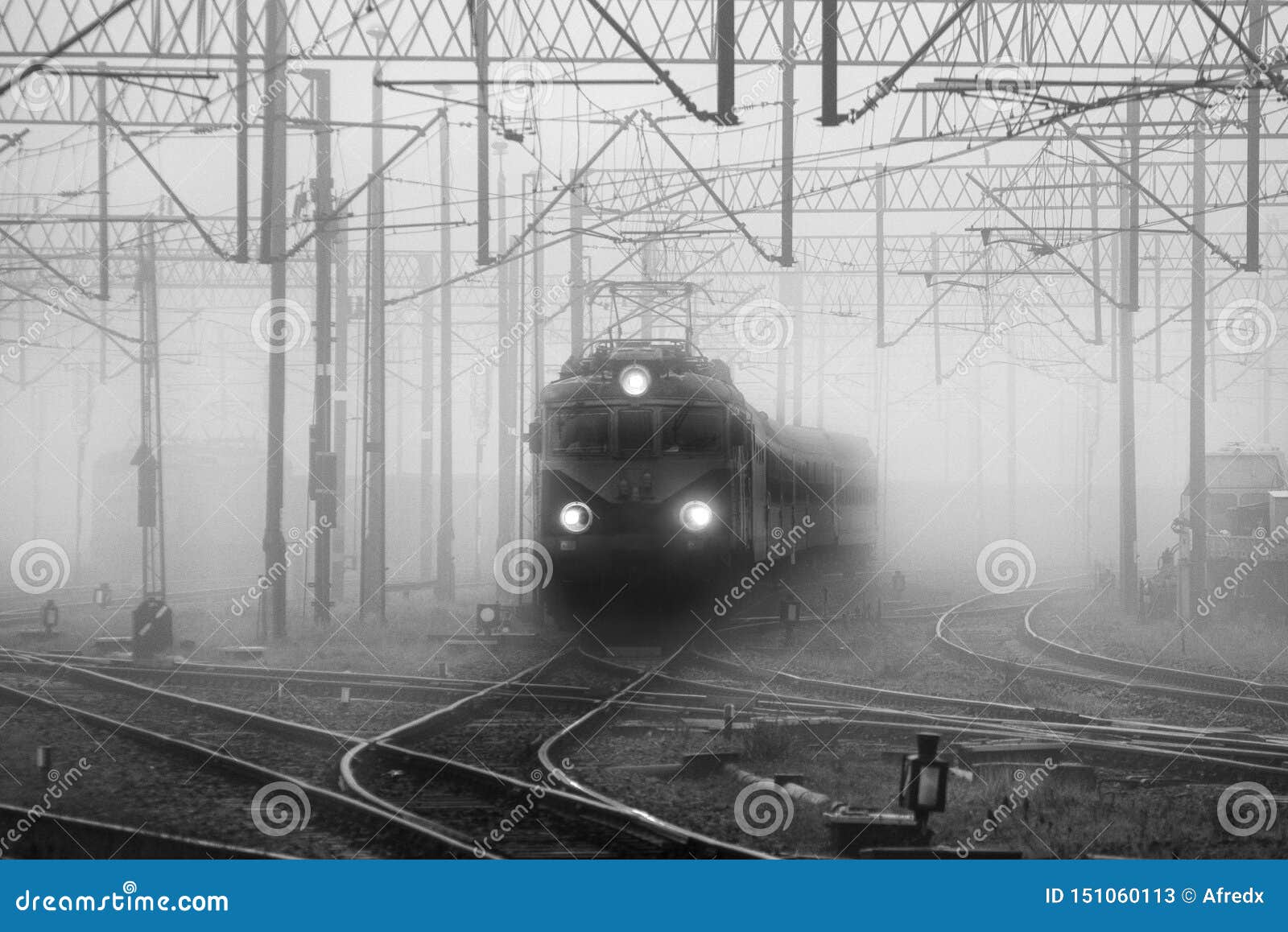 Train in the fog, Poland stock image. Image of train - 151060113