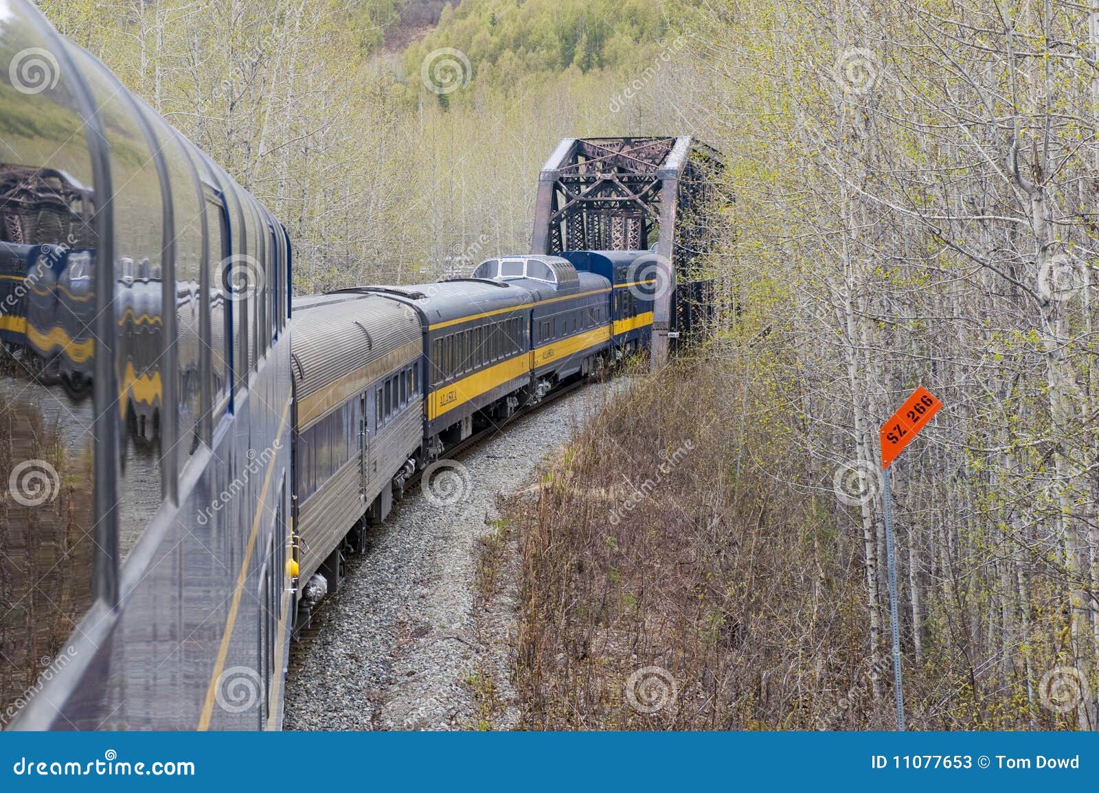 Train in forest stock image. Image of nature, carriages - 11077653
