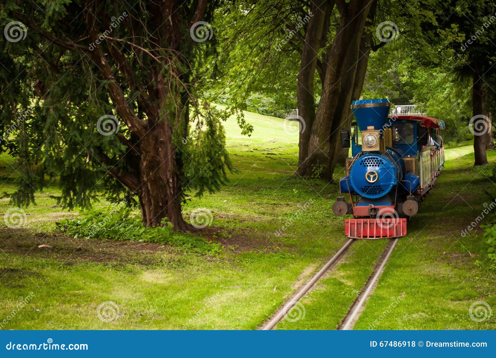 Train in forest stock photo. Image of travel, transportation - 67486918