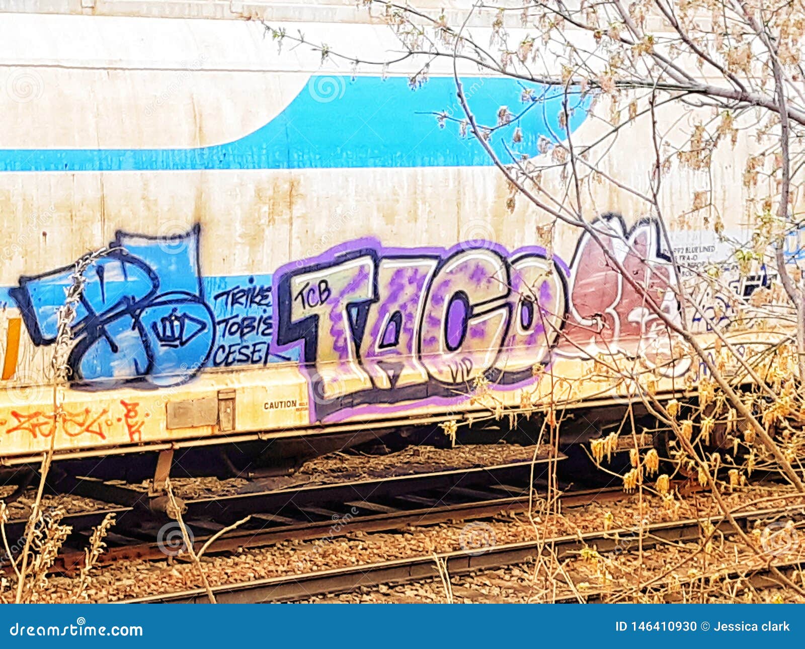 Train editorial image. Image of paint, train, spray - 146410930