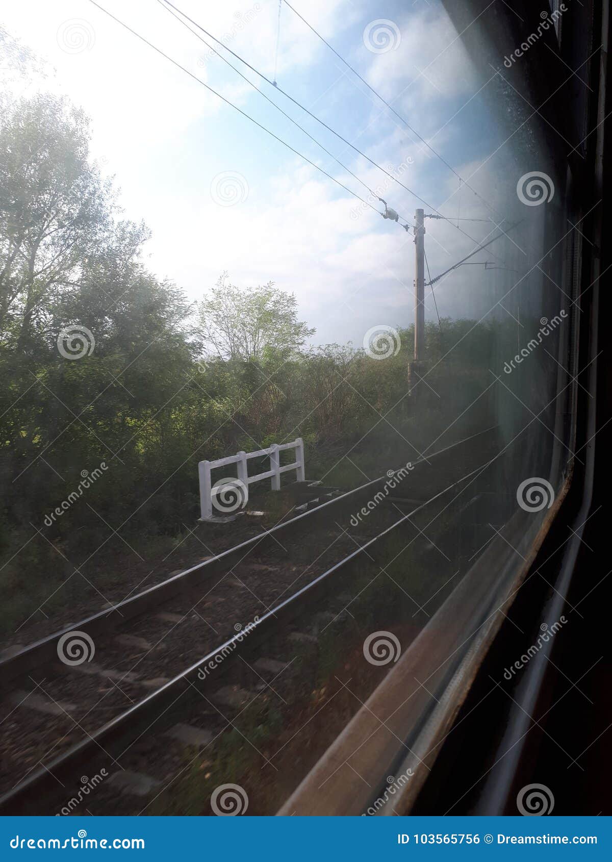 #1 train stock photo. Image of window, nature, trees - 103565756