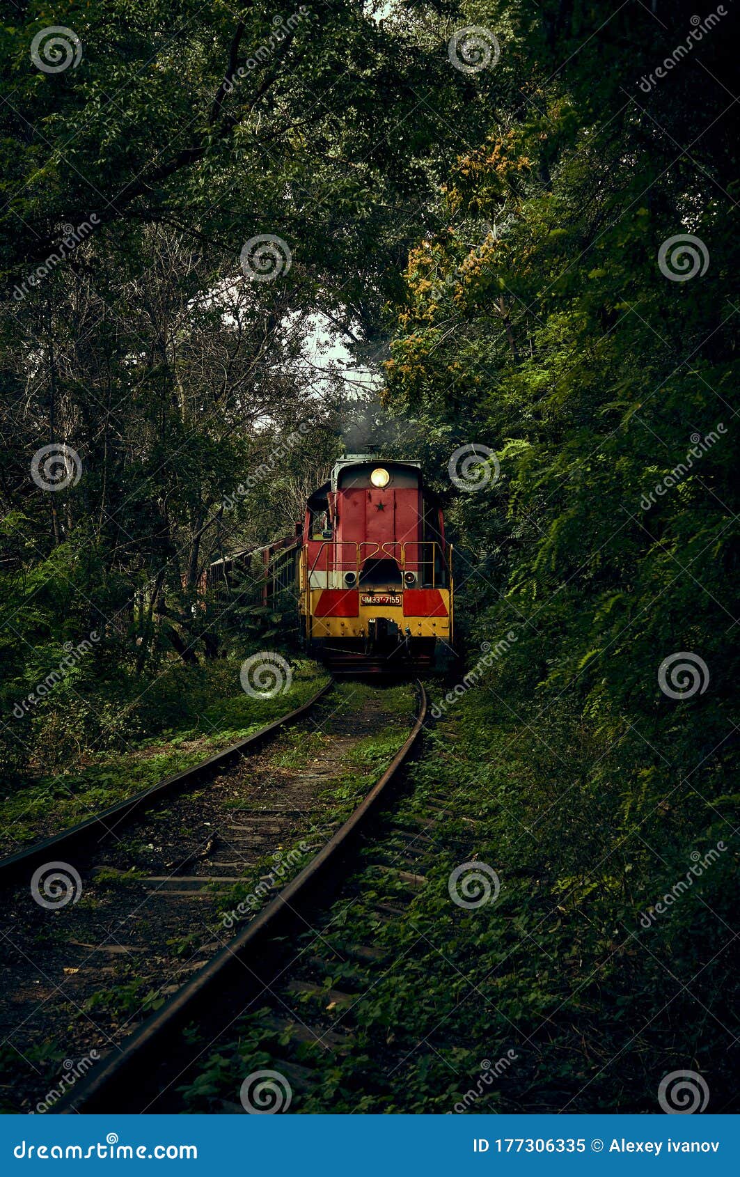Train in jungle editorial image. Image of nature, russia - 177306335