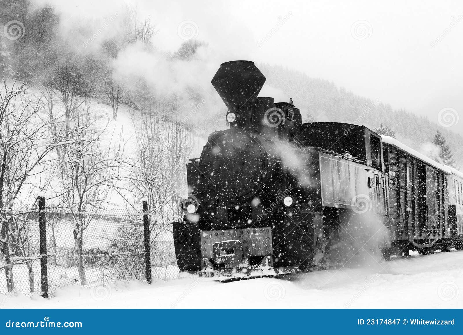 Train in Maramures Forest, Winter Time Stock Image - Image of ...