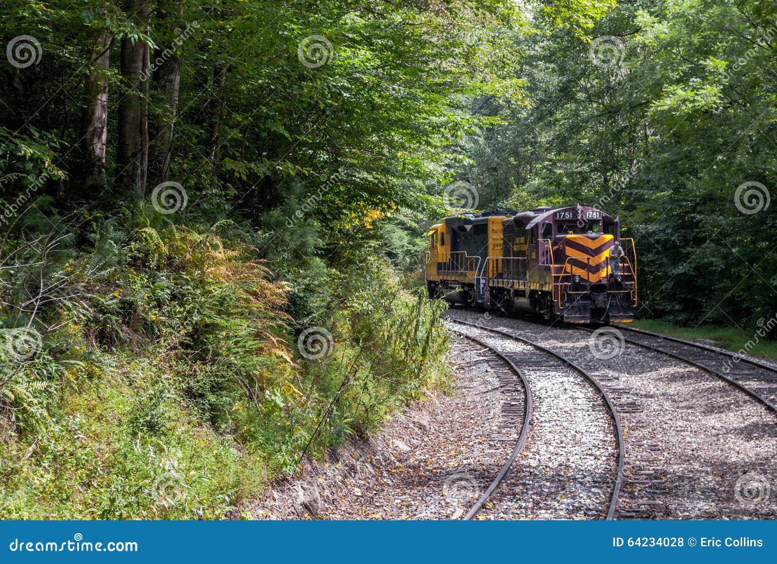Train stock photo. Image of train, rails, forest, trains - 64234028