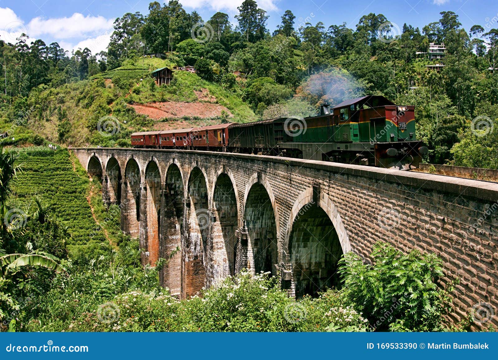 Train on the Historical Bridge Stock Photo - Image of landscape ...